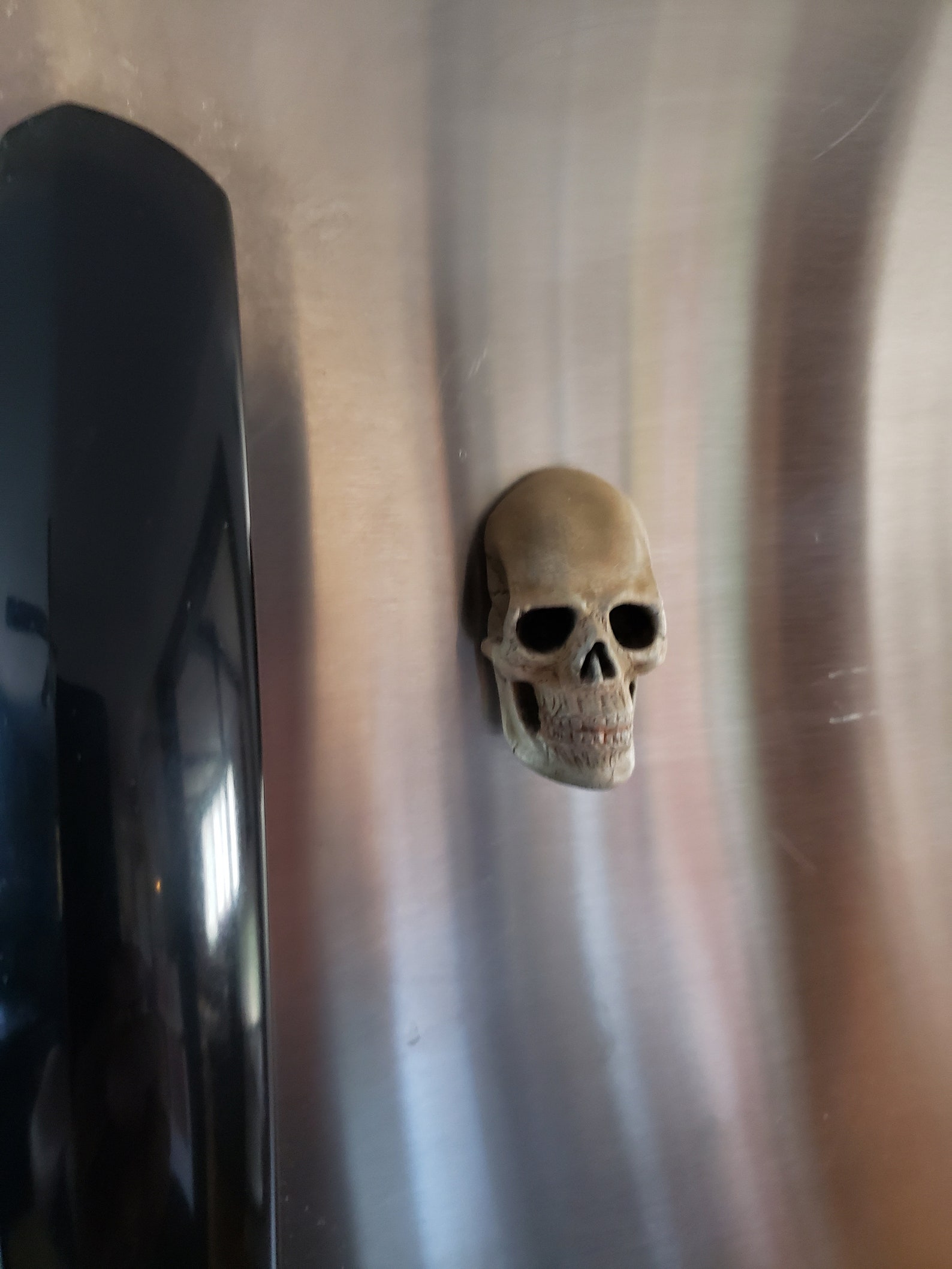 Human Skull Magnet "catacomb Style" - Etsy
