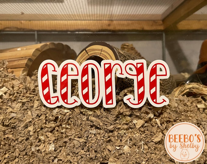 Custom Cage Name Sticker Label Rabbit Guinea Pig Hamster TWO NAMES ...