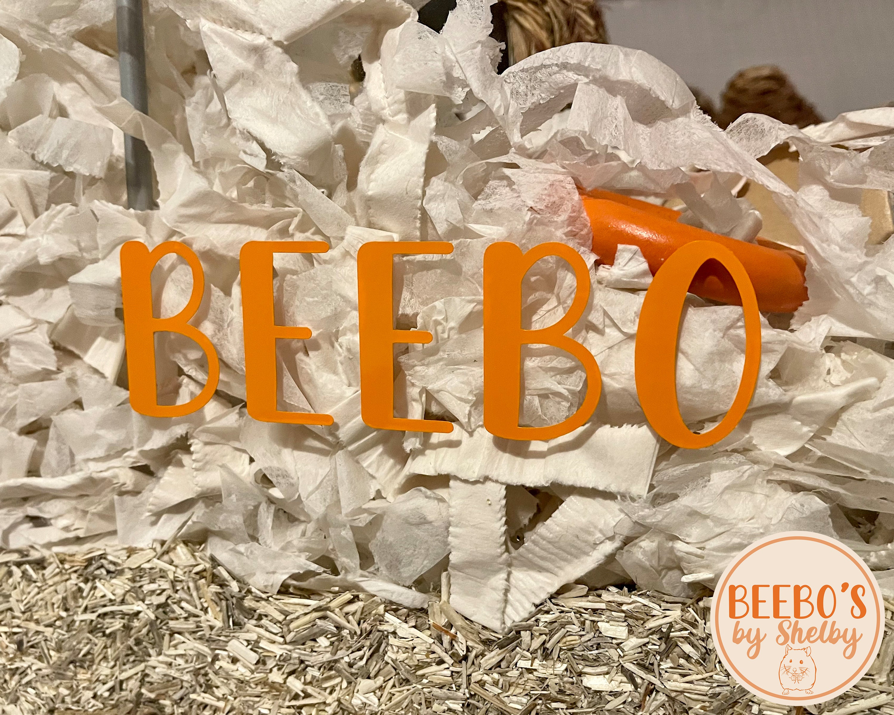 Personalised Cage Name Decal Sticker for Cages/tanks Hamster - Etsy UK