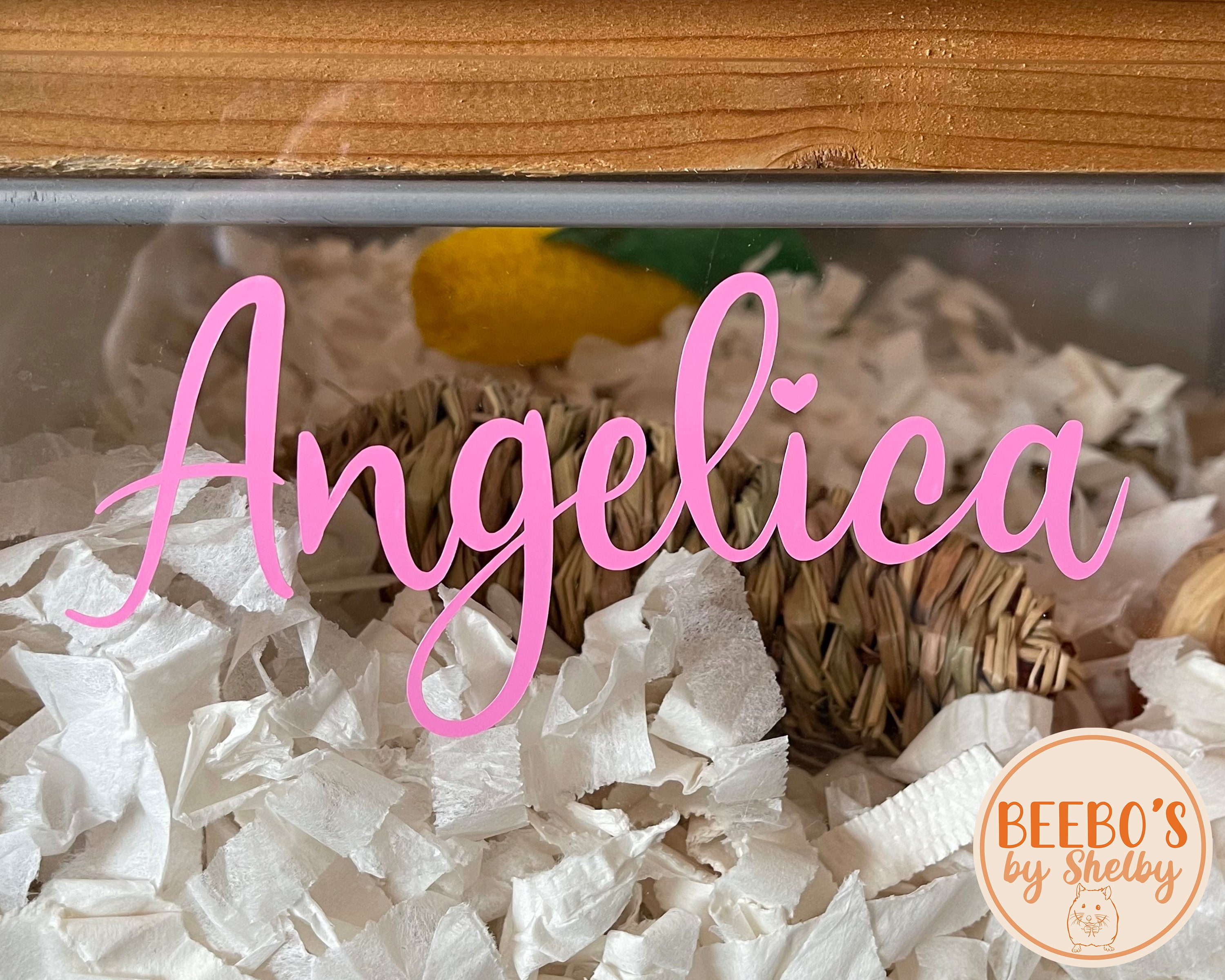 Personalised Cage Name Decal Sticker for Cages/tanks Hamster - Etsy