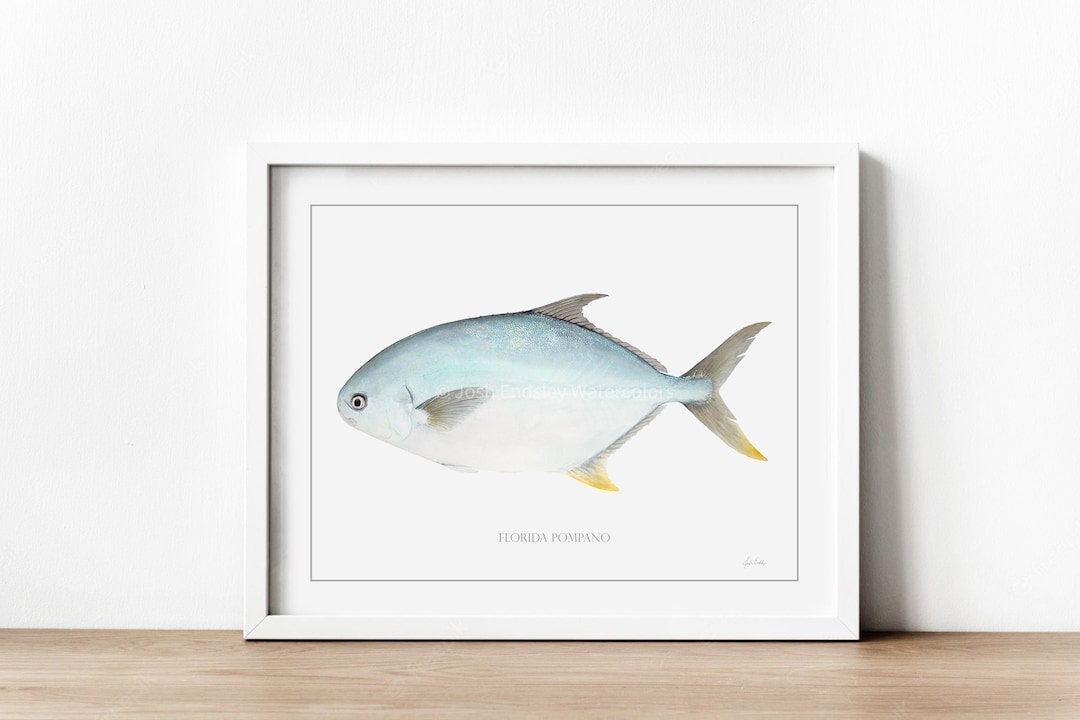Pompano Fish original Artwork Watercolor Painting Print - Etsy