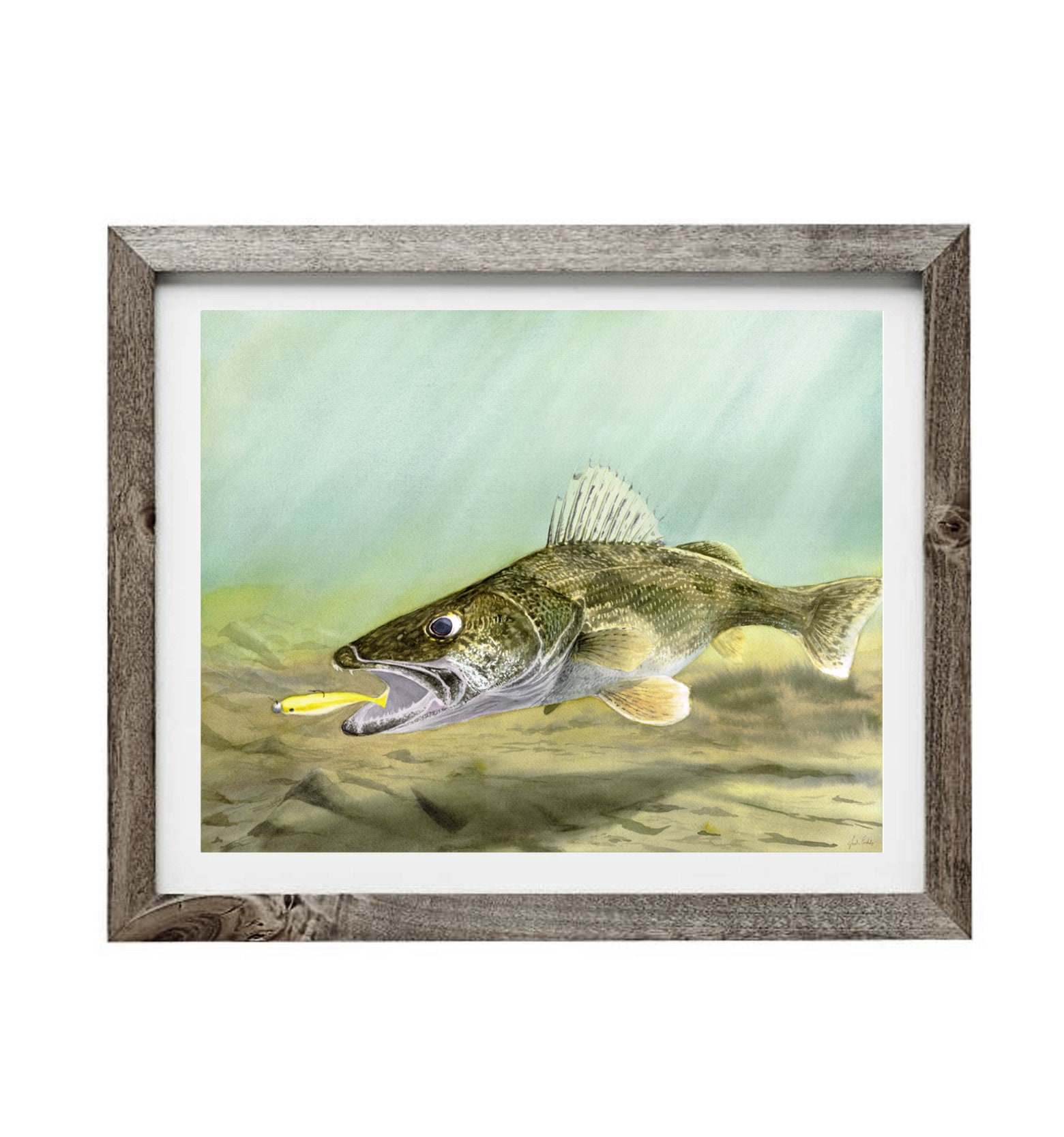 Book Walleye Sauger