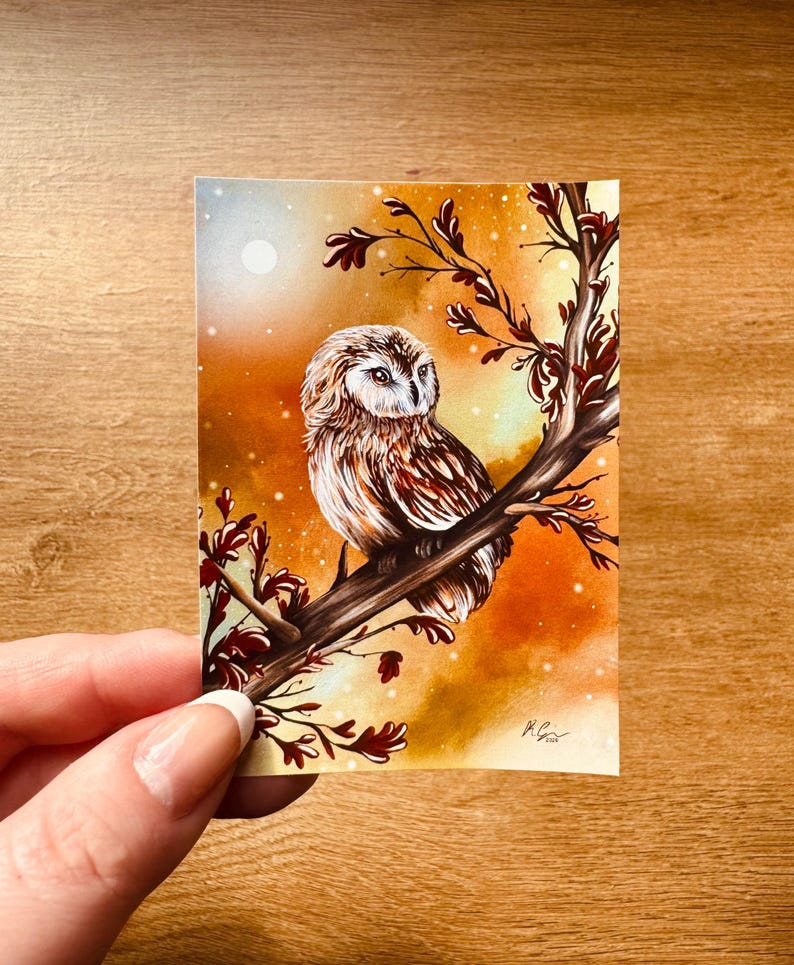 Tawny in the Oak Tree - Sticker - Etsy UK