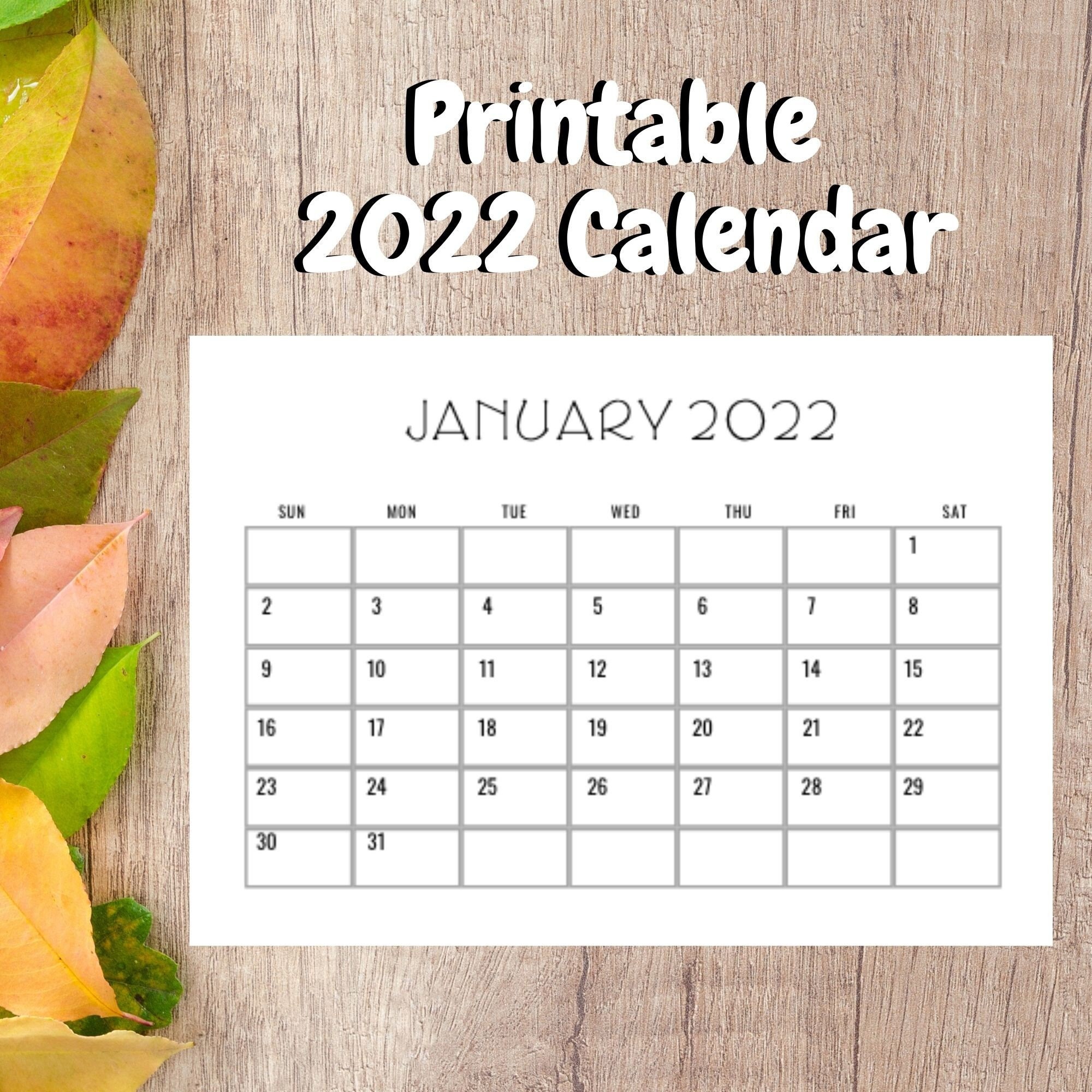 Paper & Party Supplies 12 Months 2022 Monthly Calendar Printable ...