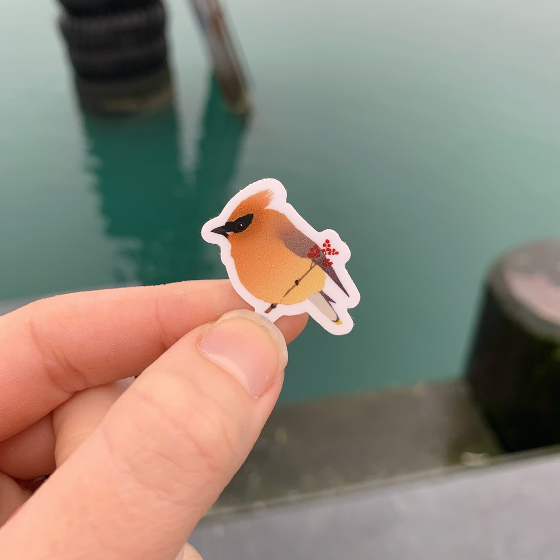 Mini 1 Fat Baby Waxwing Vinyl Sticker Cute Adorable Little - Etsy