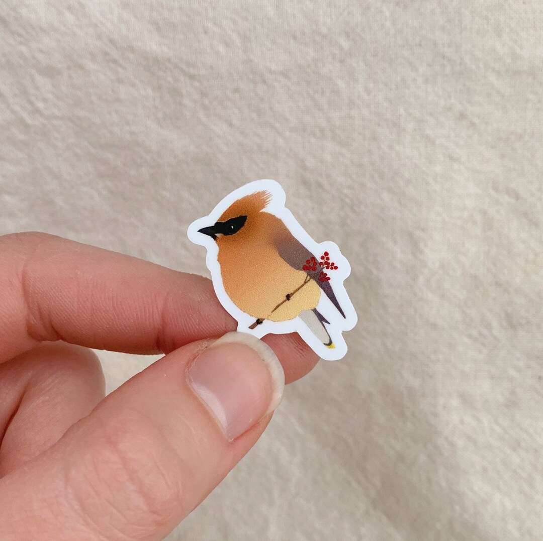 Mini 1 Fat Baby Waxwing Vinyl Sticker Cute Adorable Little - Etsy