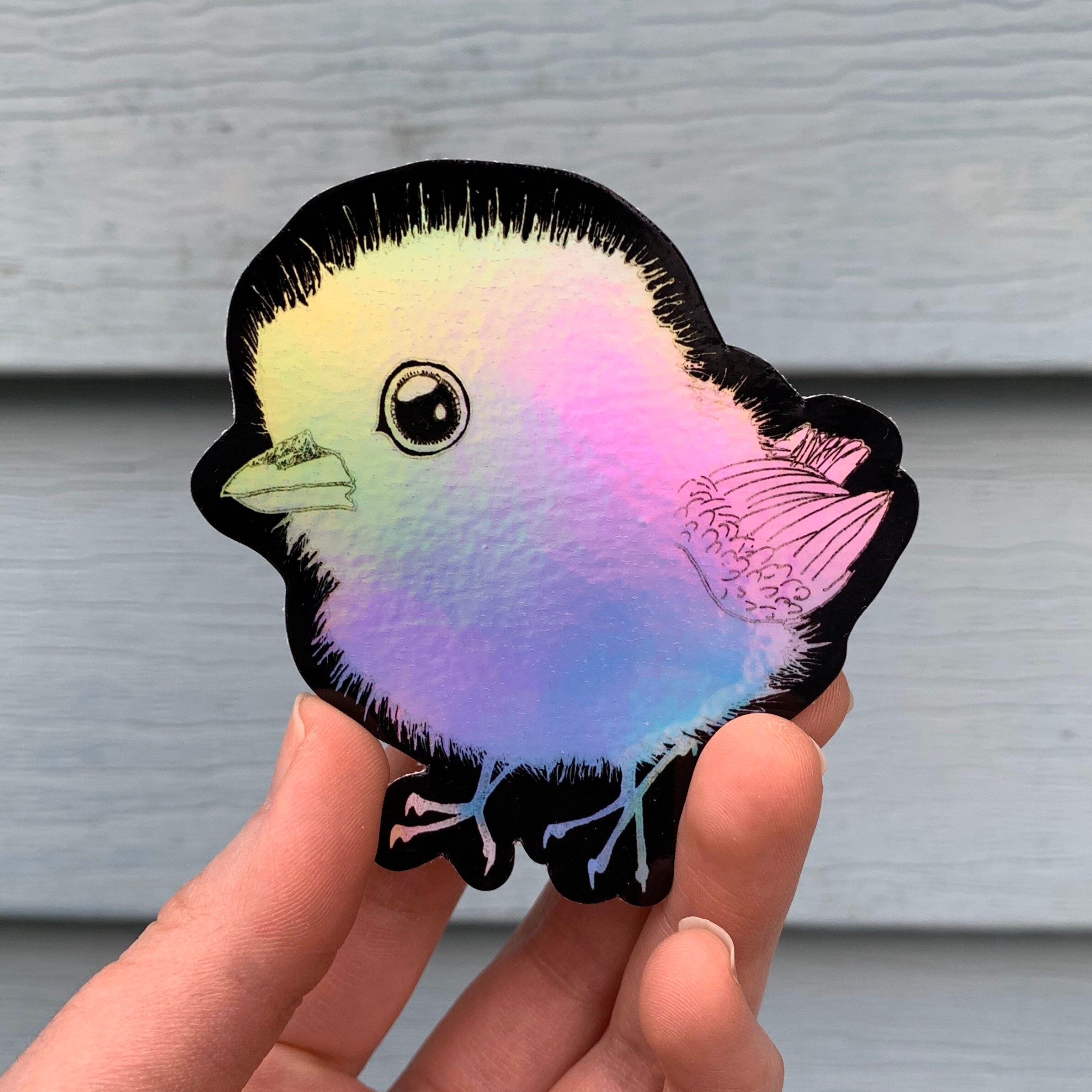 Holographic Fat Baby Raven Vinyl Sticker Cute Colorful Fun | Etsy
