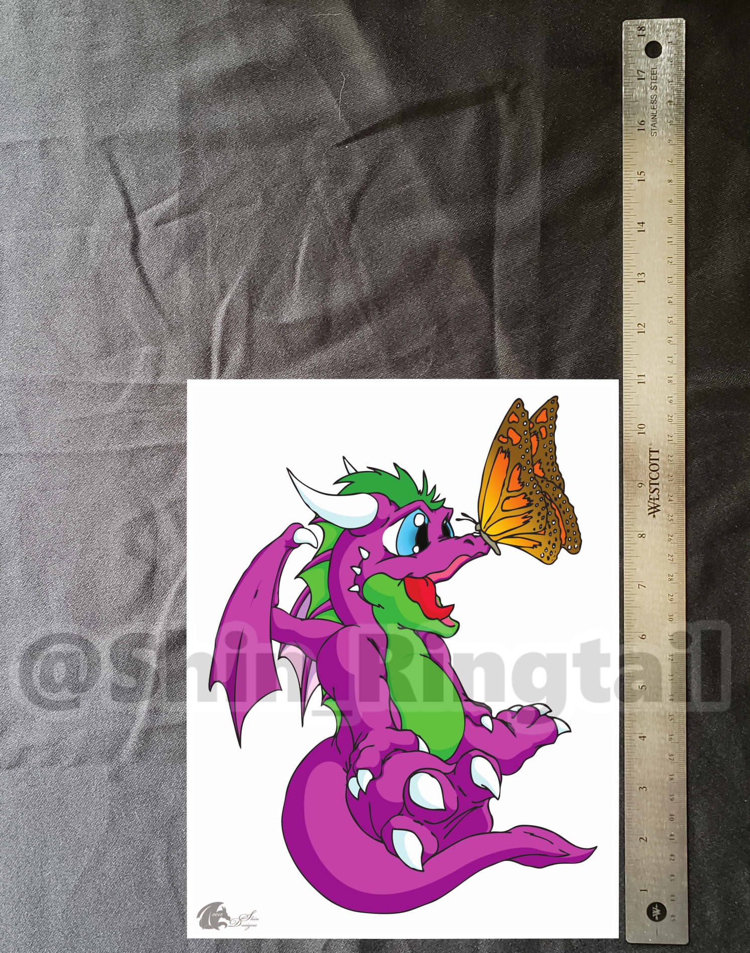Draggie Butterfly (8.5"x11" Print) - Etsy
