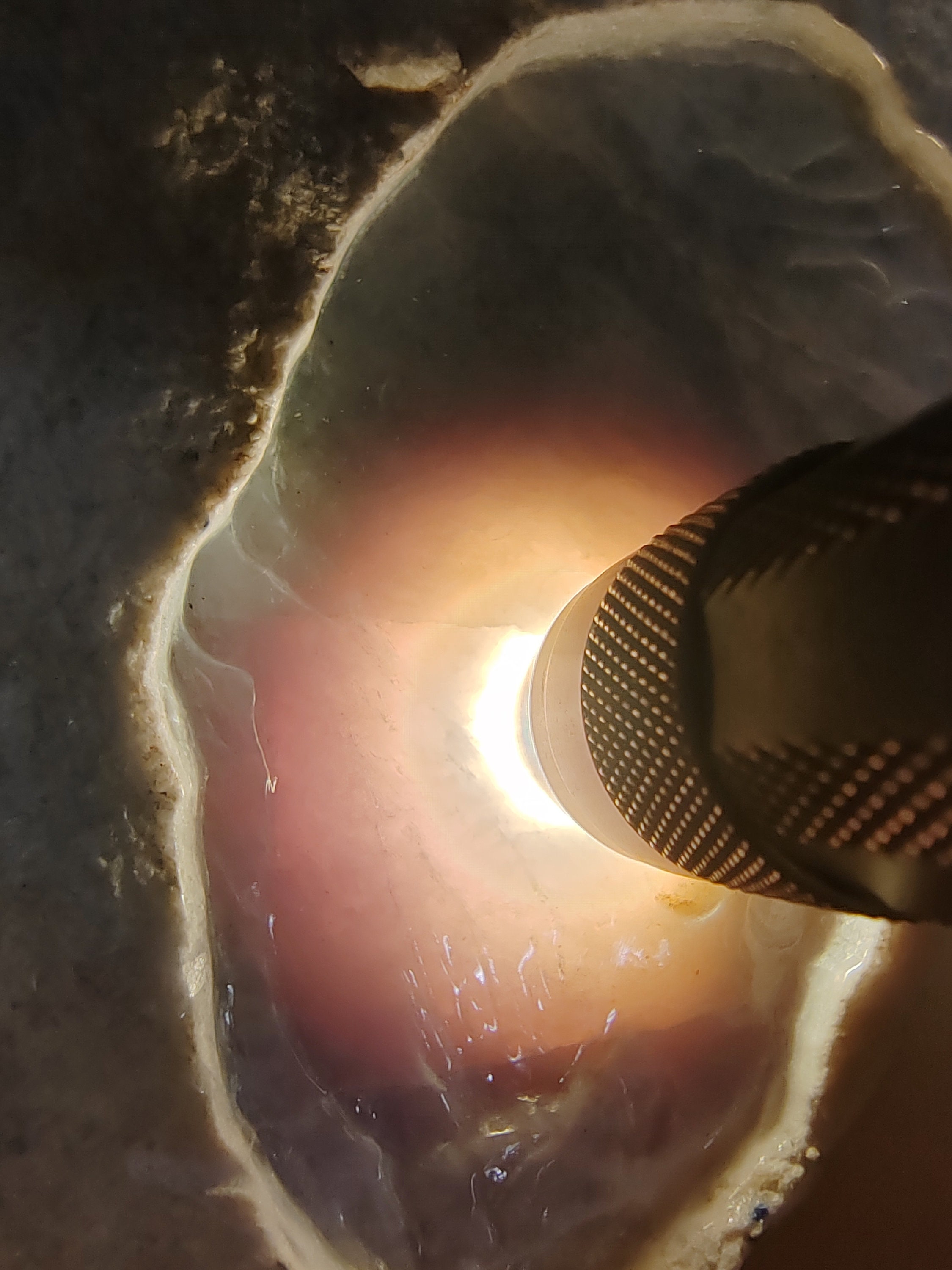 Icy Ice Spring Flower Burma Jadeite Jade Rough Stone 6,350 Gram 31,750 ...