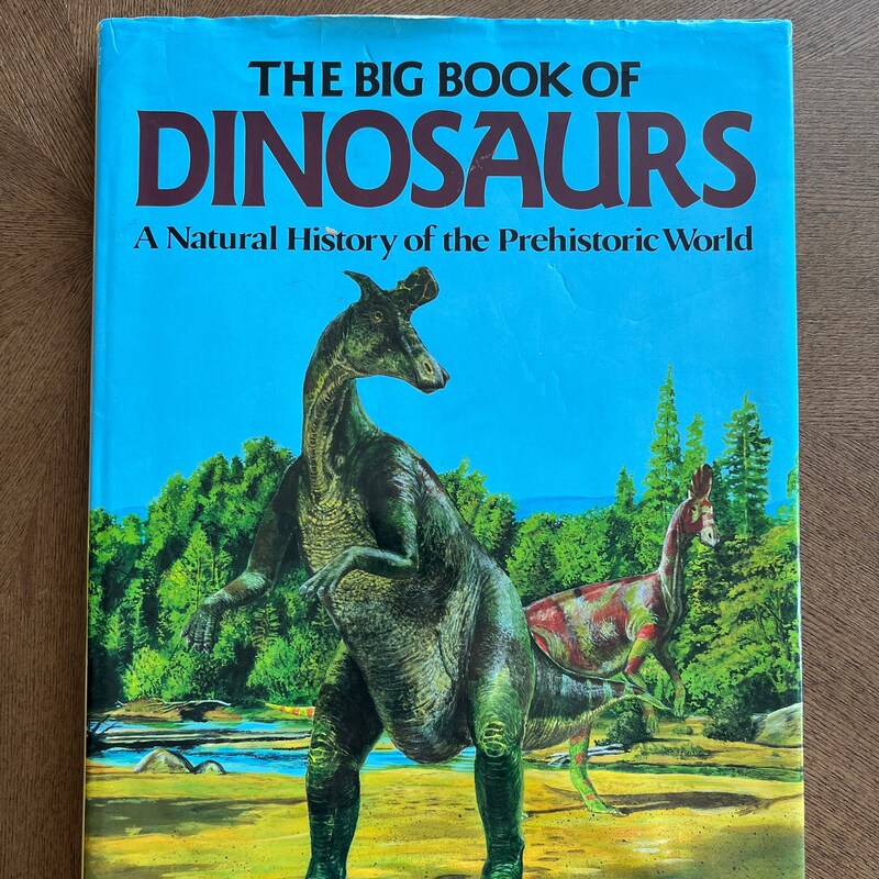 Dinosaurs Book - Etsy