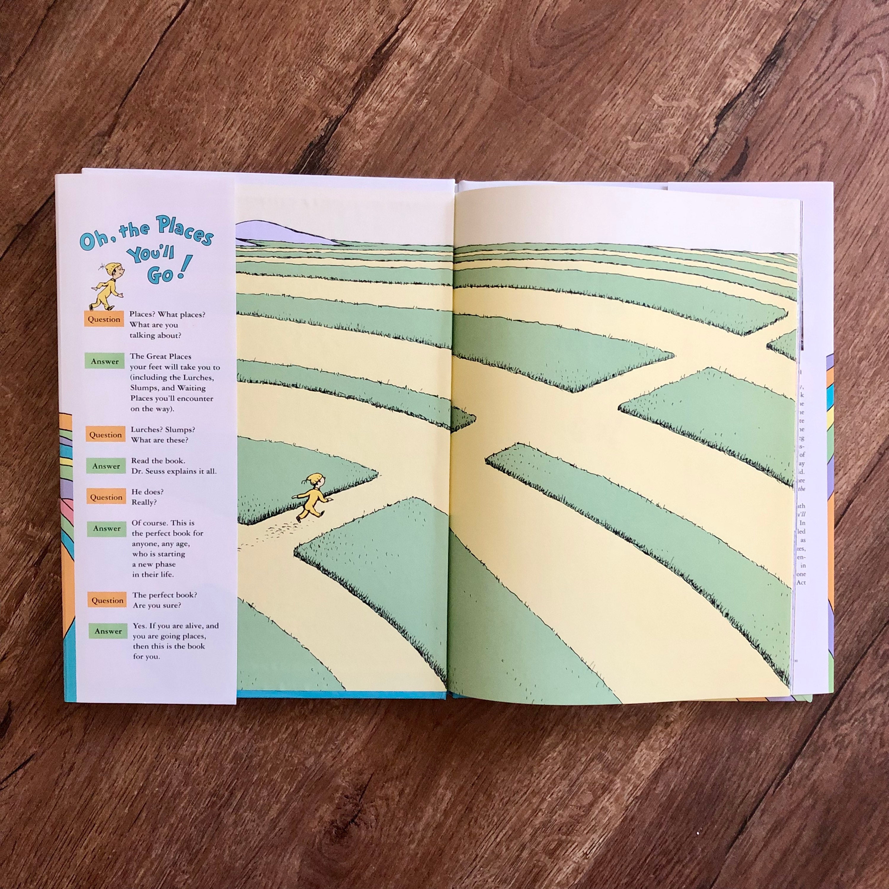 Dr. Seuss Book, Oh, the Places You'll Go 1990 Dr. Seuss Children's Book ...