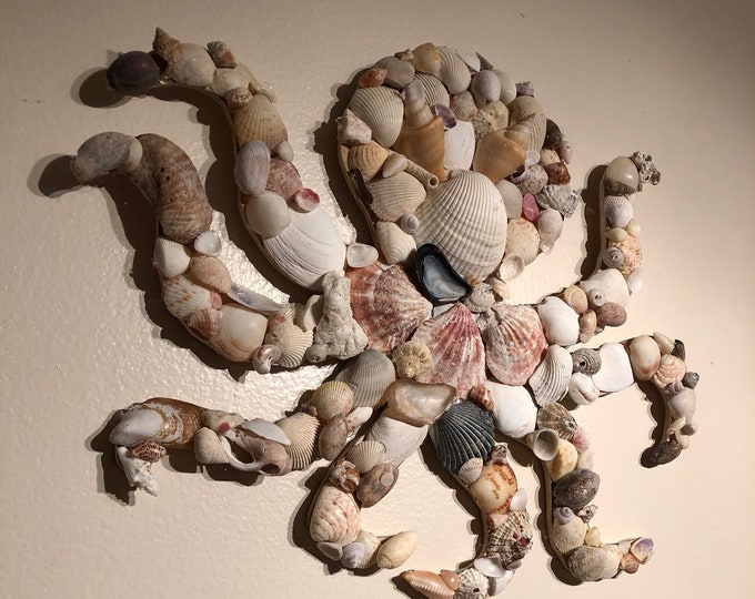 Seashell Octopus - Etsy
