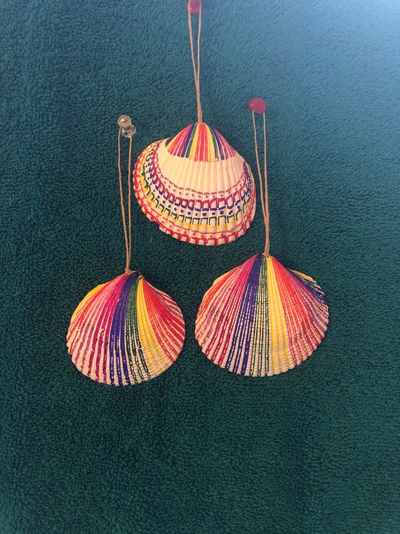 Rainbow shells 3 to set | Etsy