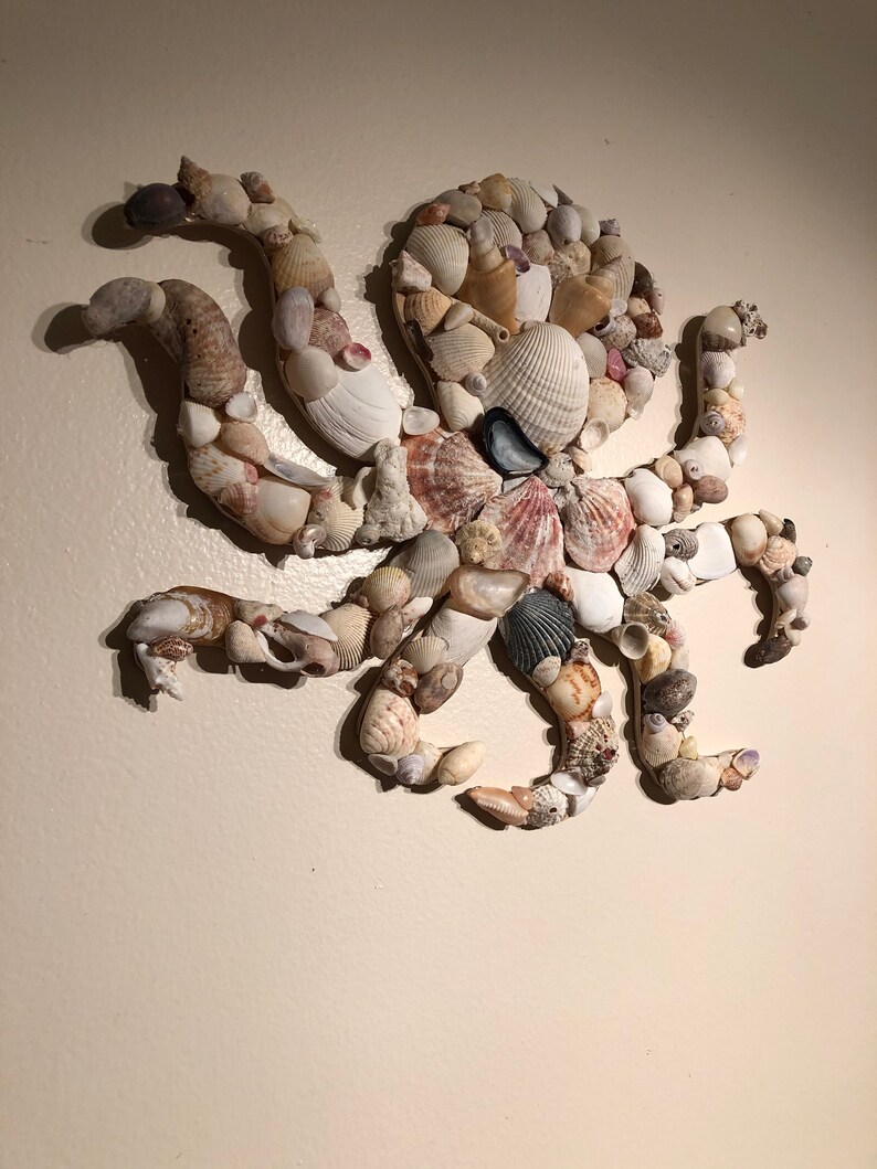 Seashell Octopus - Etsy