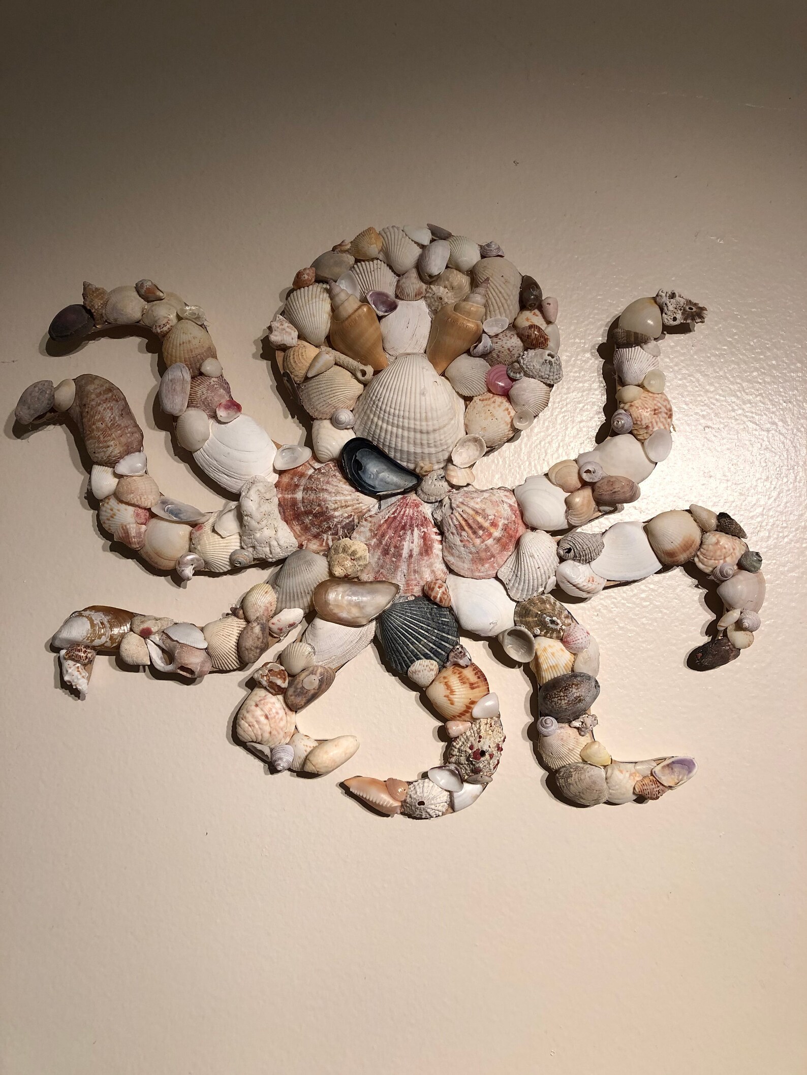 Seashell Octopus - Etsy