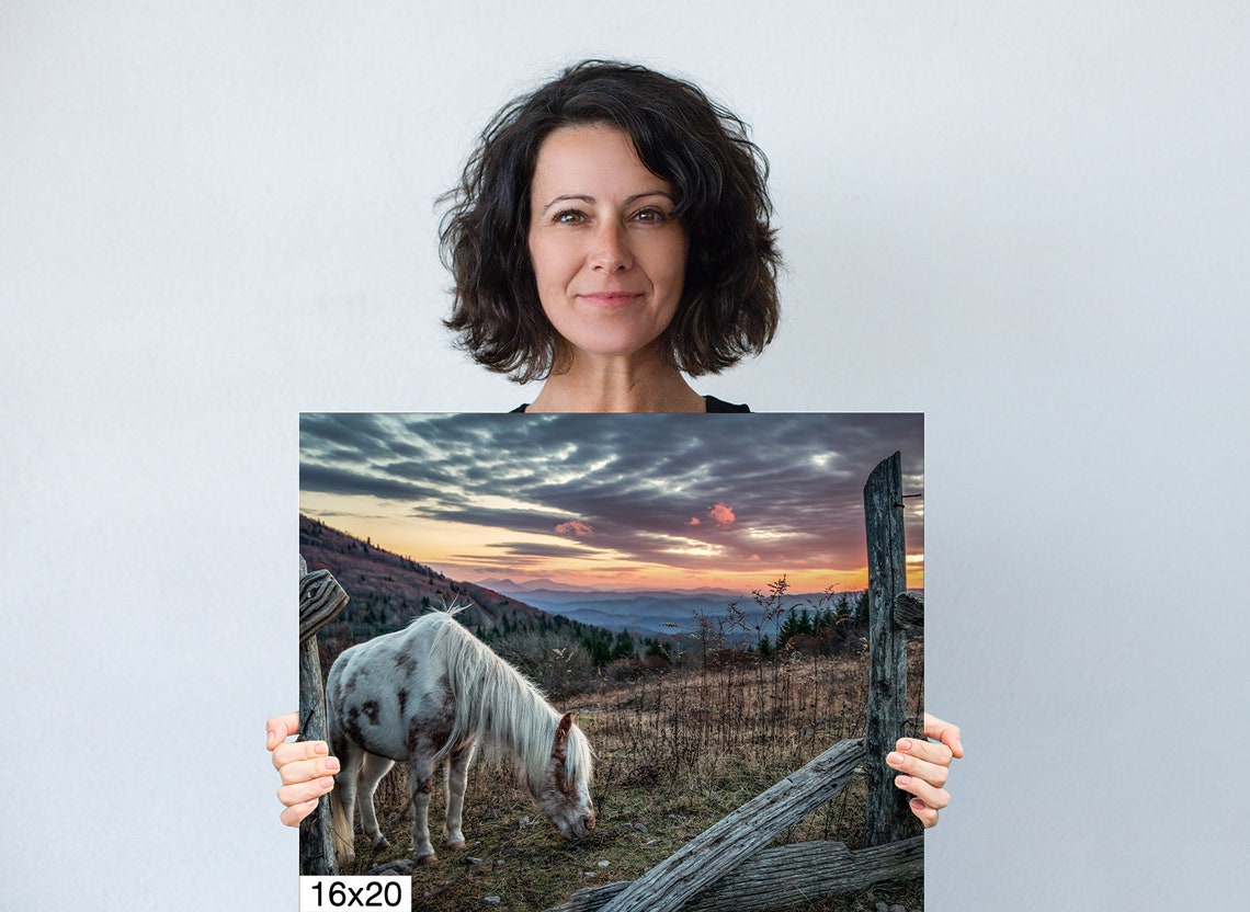 Wild Pony Sunset Canvas Print | Grayson Highlands Landscape Photography ...