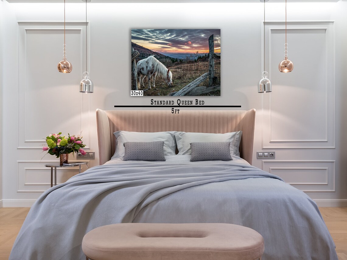 Wild Pony Sunset Canvas Print | Grayson Highlands Landscape Photography ...