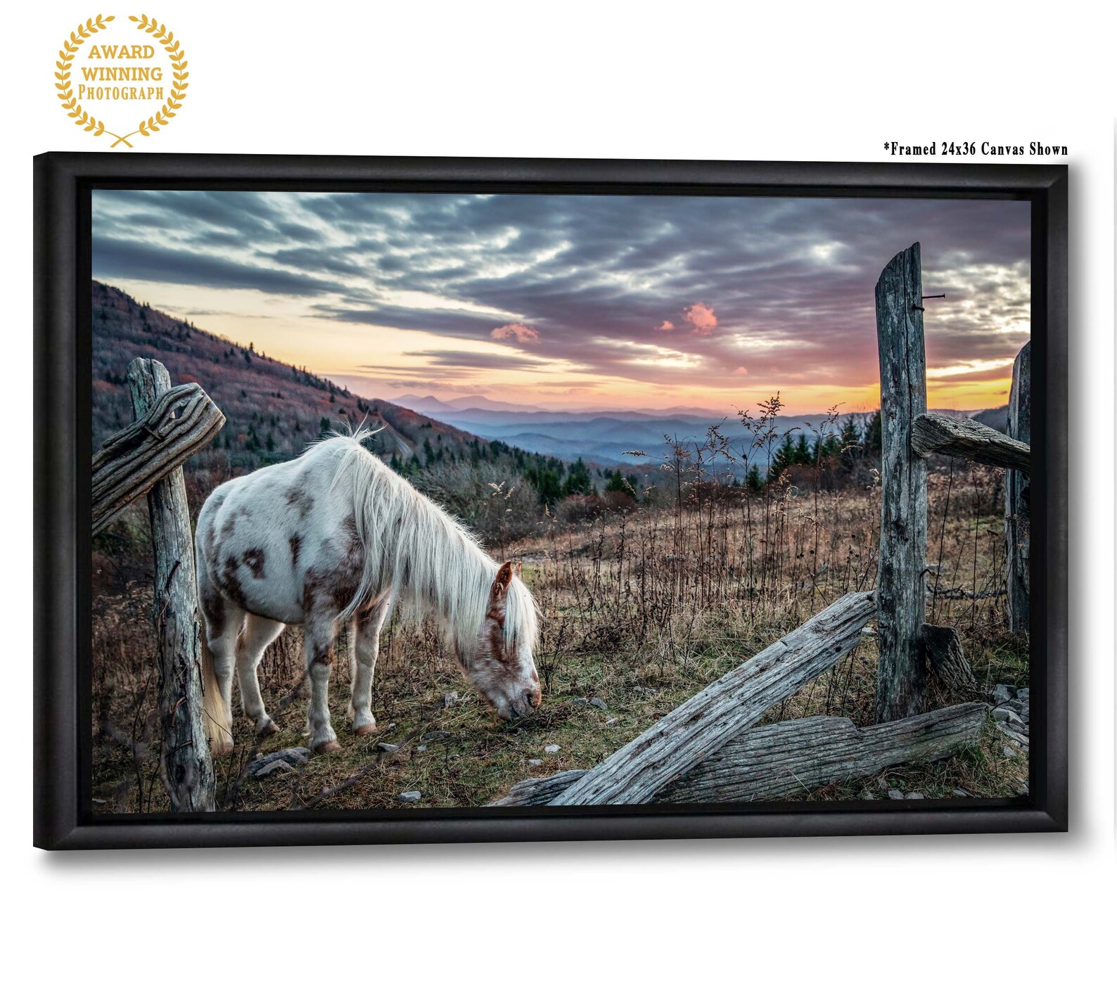 Wild Pony Sunset Canvas Print | Grayson Highlands Landscape Photography ...