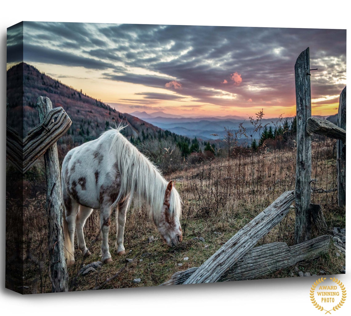 Wild Pony Sunset Canvas Print | Grayson Highlands Landscape Photography ...