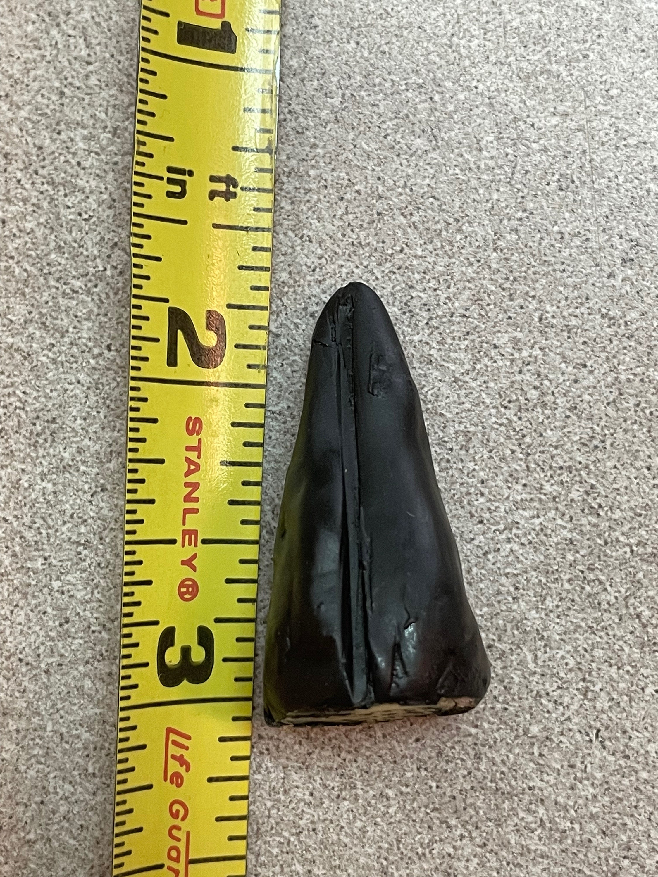 Bird Beak Custom Size and Quantity Made to Order - Etsy