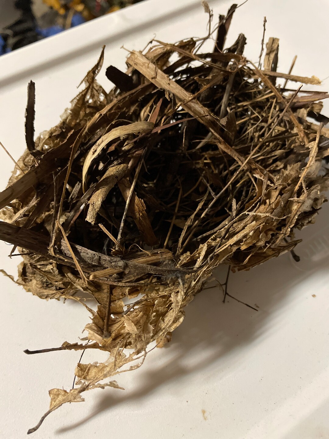 Large Bird Nest All Natural Genuine Bird’s Real Made With Mostly Dried ...