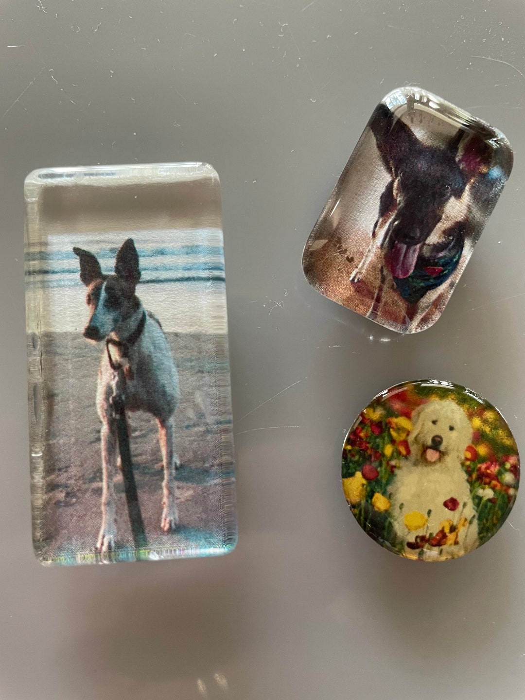 NEW Customized Glass Magnets Personalized With Your PHOTO or LOGO - Set ...