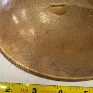 Large Horseshoe Crab Shell From the Outer Banks of North Carolina All ...