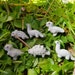Handmade Miniature Dinosaur Fridge Magnets - Set of 6 - Cute, Fun ...
