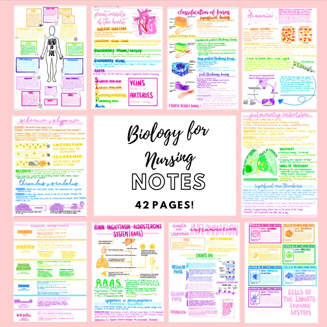 Biology for Nursing Students Notes: 42 Pages INSTANT DOWNLOAD - Etsy