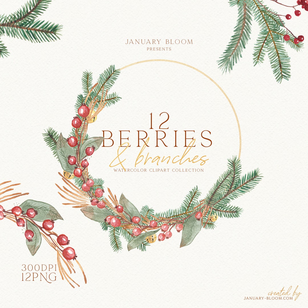 Watercolor Christmas Berries & Branches Traditional Clipart Winter ...