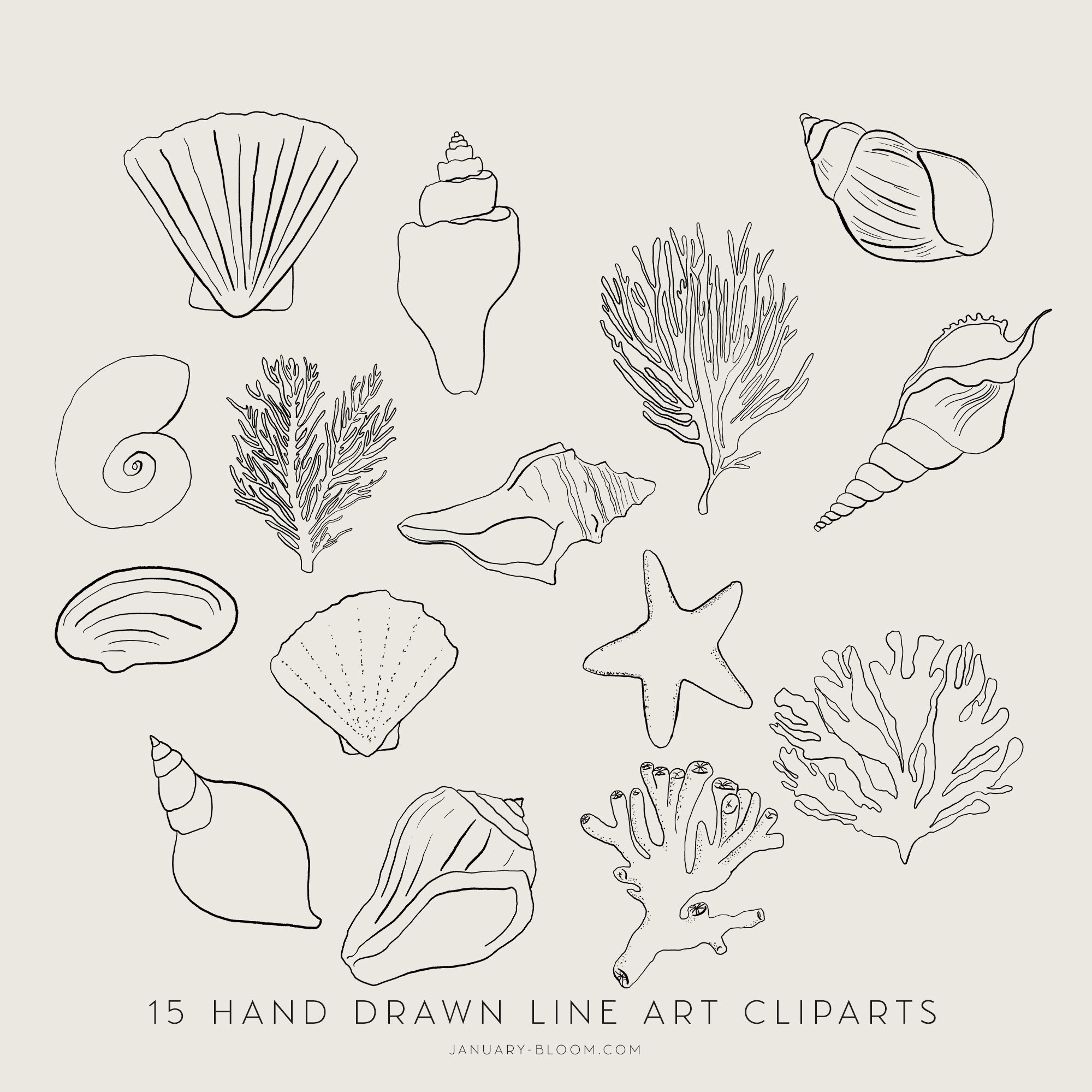 Seashell & Coral Line Art Clipart - Underwater Natural Sea Maritime ...