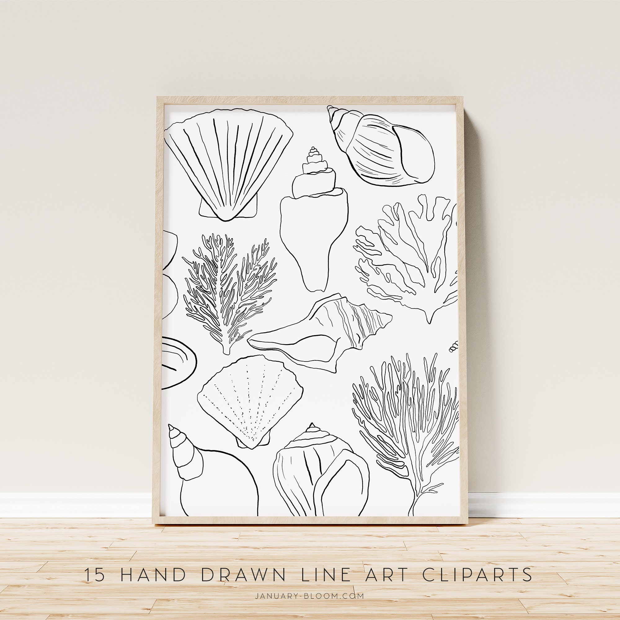 Seashell & Coral Line Art Clipart - Underwater Natural Sea Maritime ...