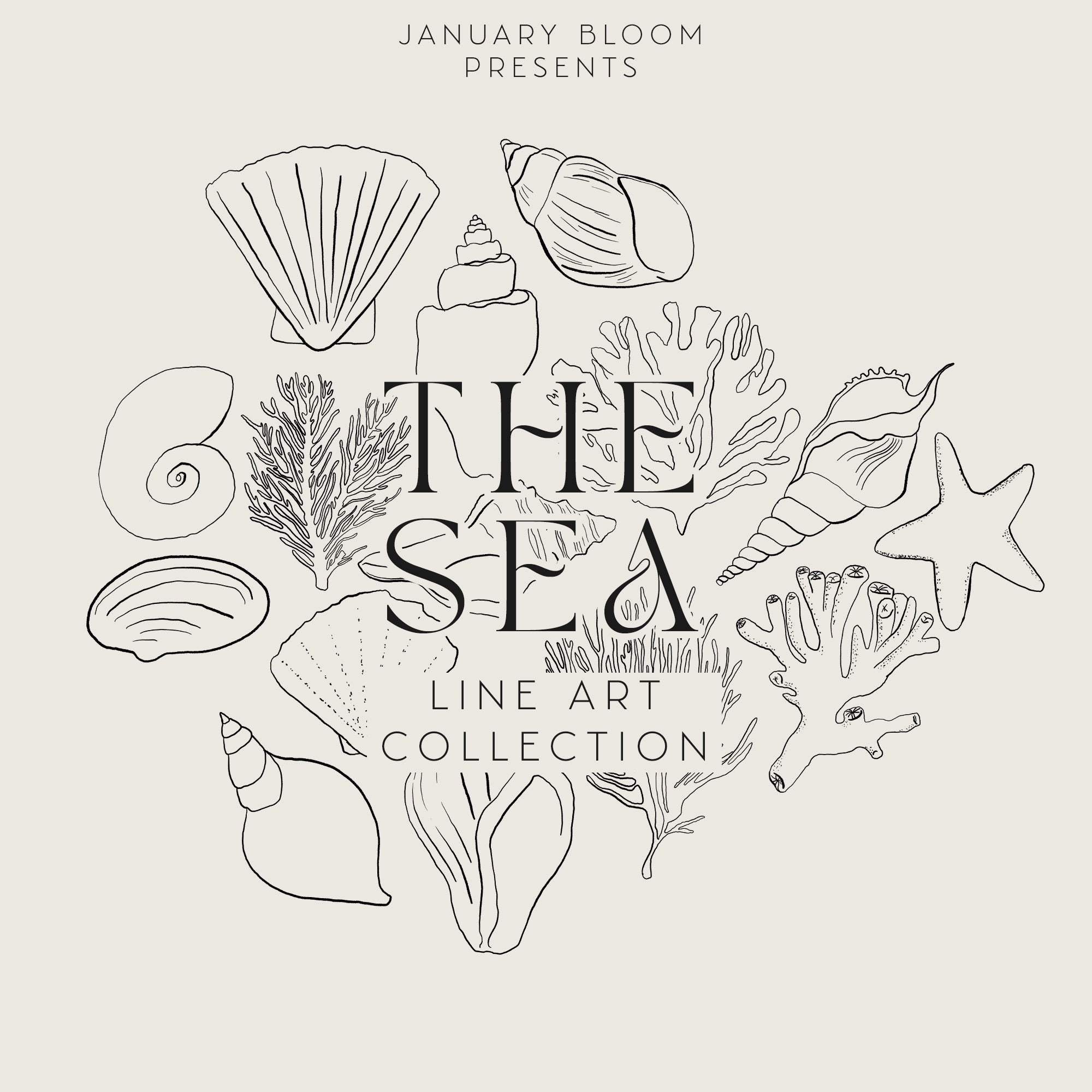 Seashell & Coral Line Art Clipart - Underwater Natural Sea Maritime ...