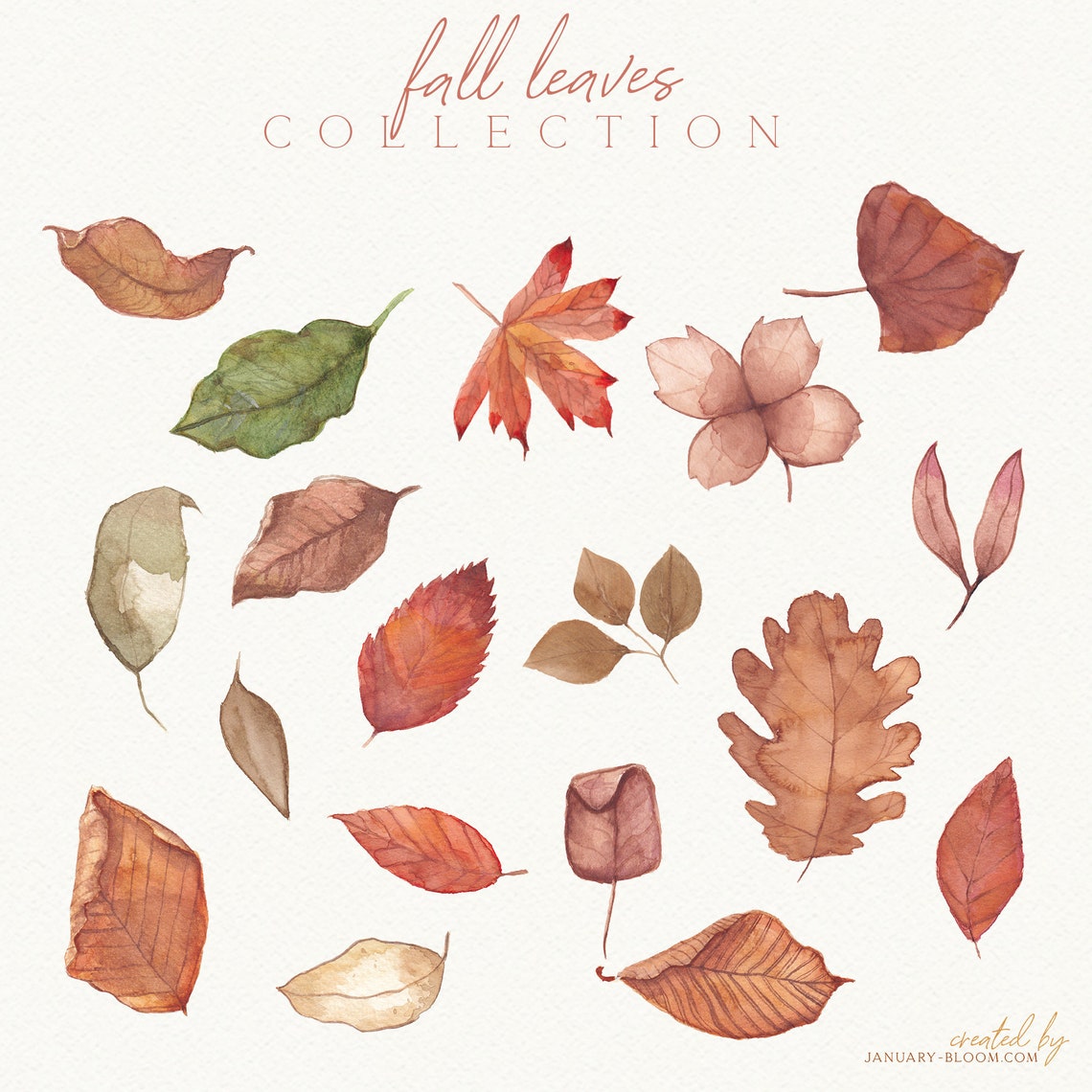 Watercolor Autumn Leaves, Fall Leaf Clipart, Handpainted Autumn ...