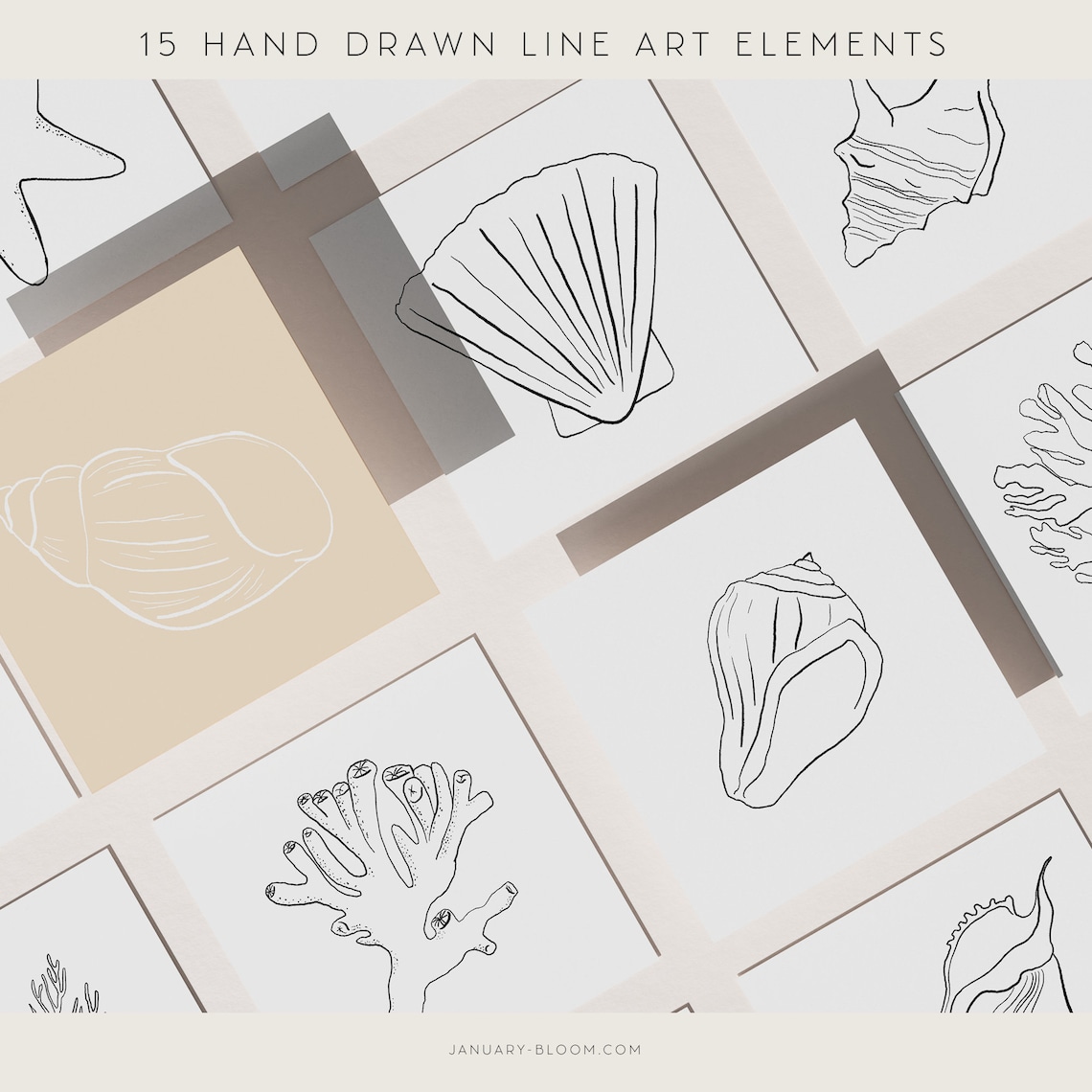 Seashell & Coral Line Art Clipart Underwater Natural Sea Maritime ...