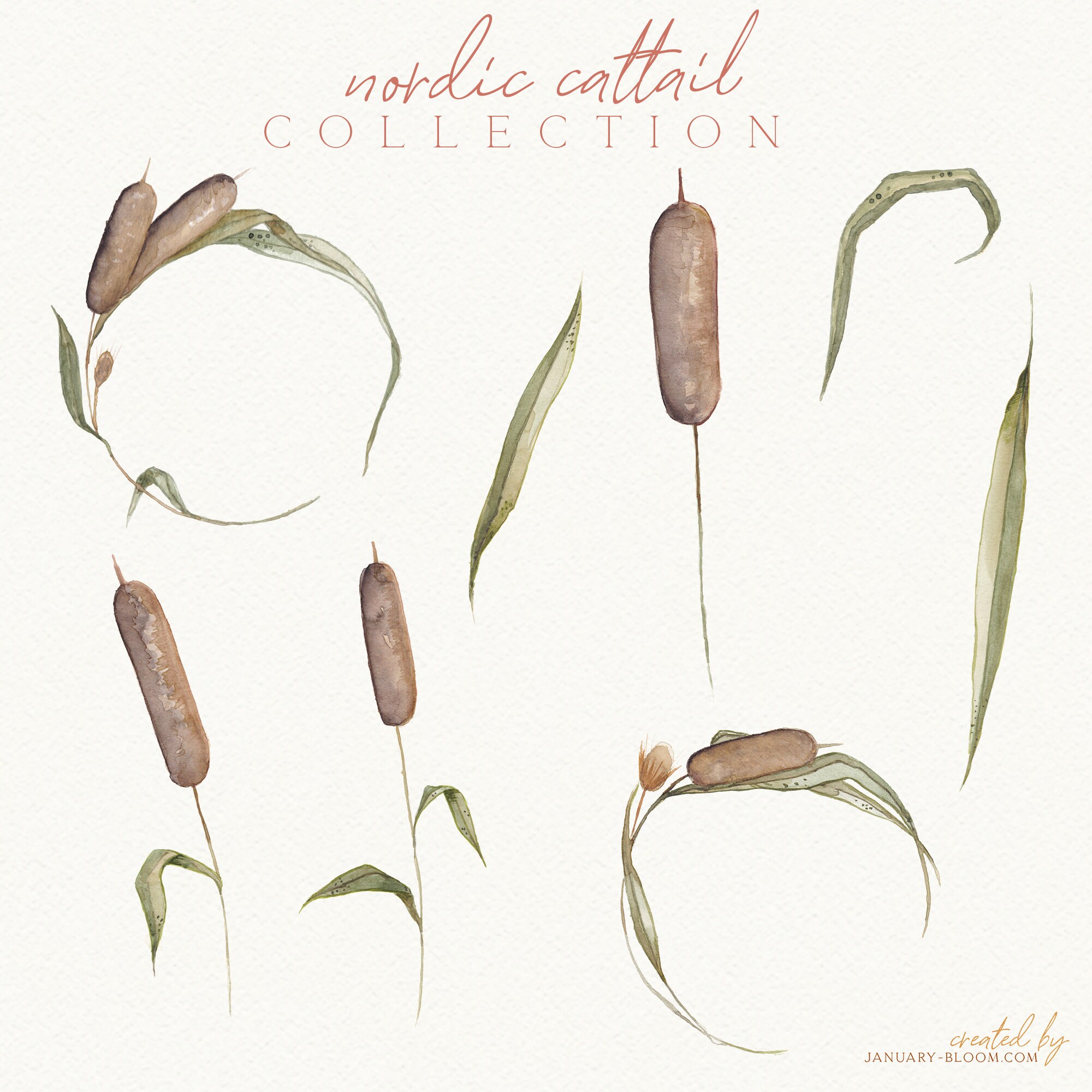 Watercolor Bulrush Cattail Wreath Autumn Dried Foliage Fall - Etsy