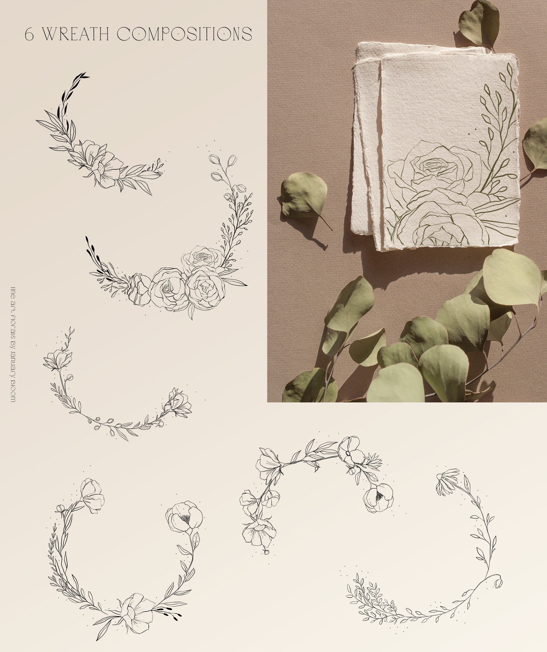 Fine Art Floral Line Art Clipart Botanical Illustration Hand Drawn ...