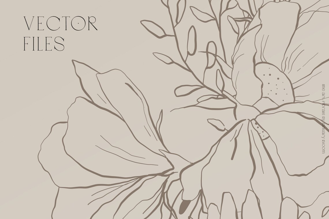 Fine Art Floral Line Art Clipart Botanical Illustration Hand Drawn ...