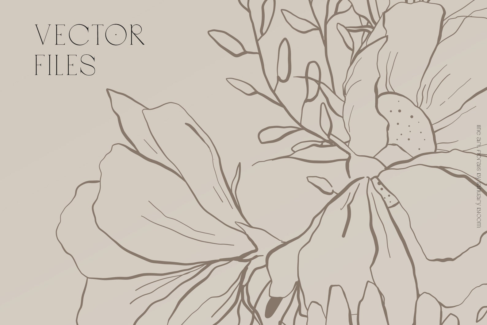 Fine Art Floral Line Art Clipart Botanical Illustration Hand Drawn ...