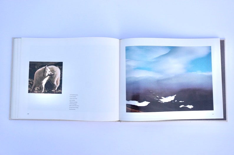 Vintage 1988 Coffee Table Book White Wolf by Jim Brandenburg - Etsy