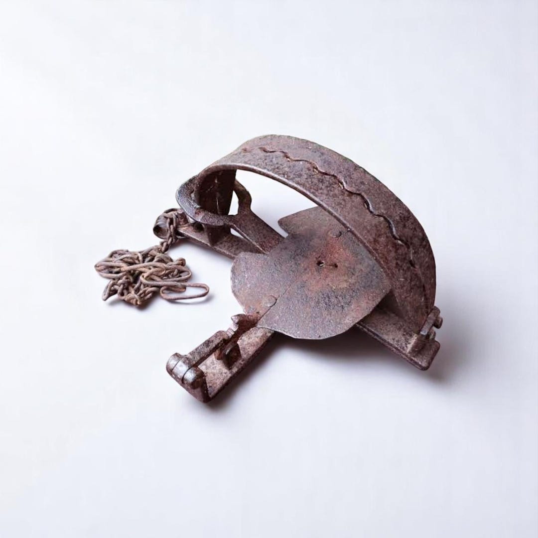 Antique Iron Animal Trap 19th Century Forged Steel Trap With Chain ...