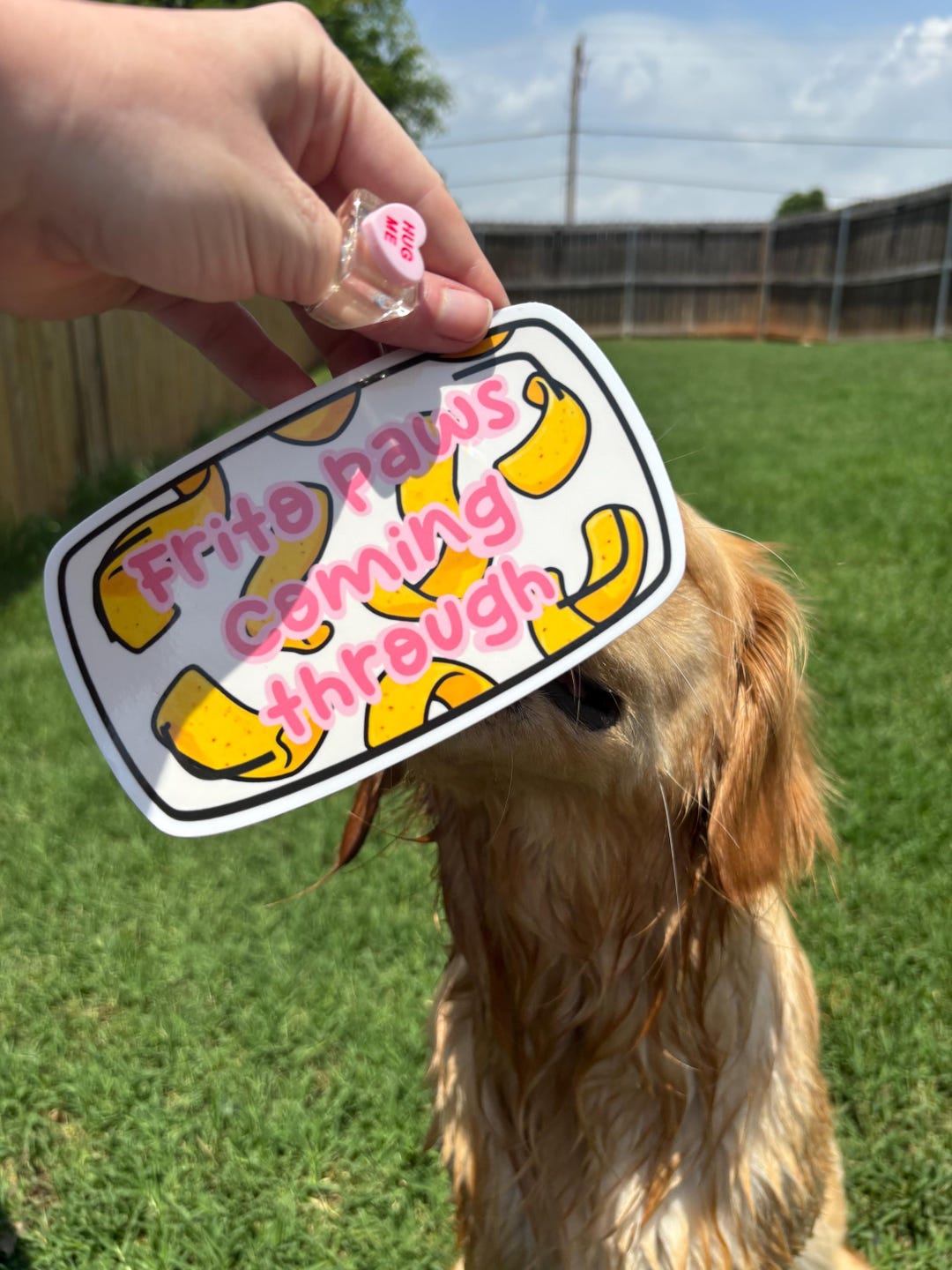 Frito Paws Coming Through Bumper Sticker - Pet Frito Paws - Pet Lovers ...