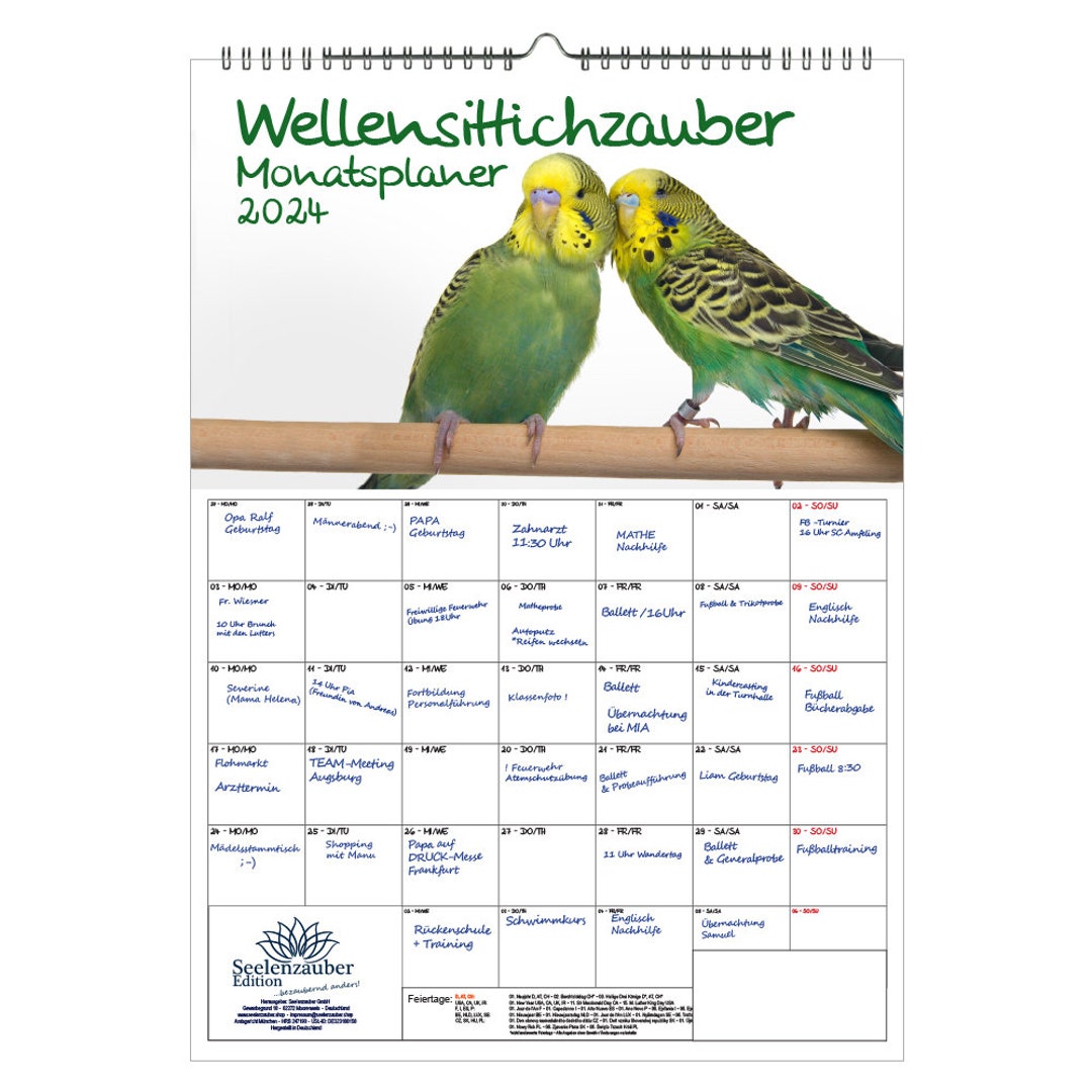 EUR 19.98/pc. Budgie Magic Planner DIN A3 Calendar for 2024 Budgies ...