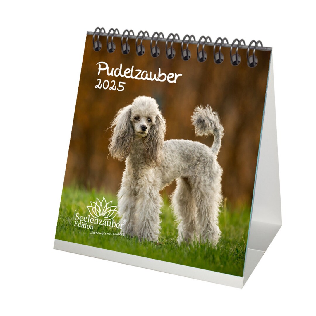 Poodle Magic Calendar for 2025 Format 10 Cm X 10 Cm Puppies and Dogs ...