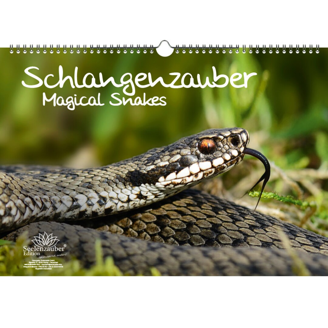 Snake Magic DIN A3 Calendar - Perpetual Calendar Snakes - Soul Magic - Etsy