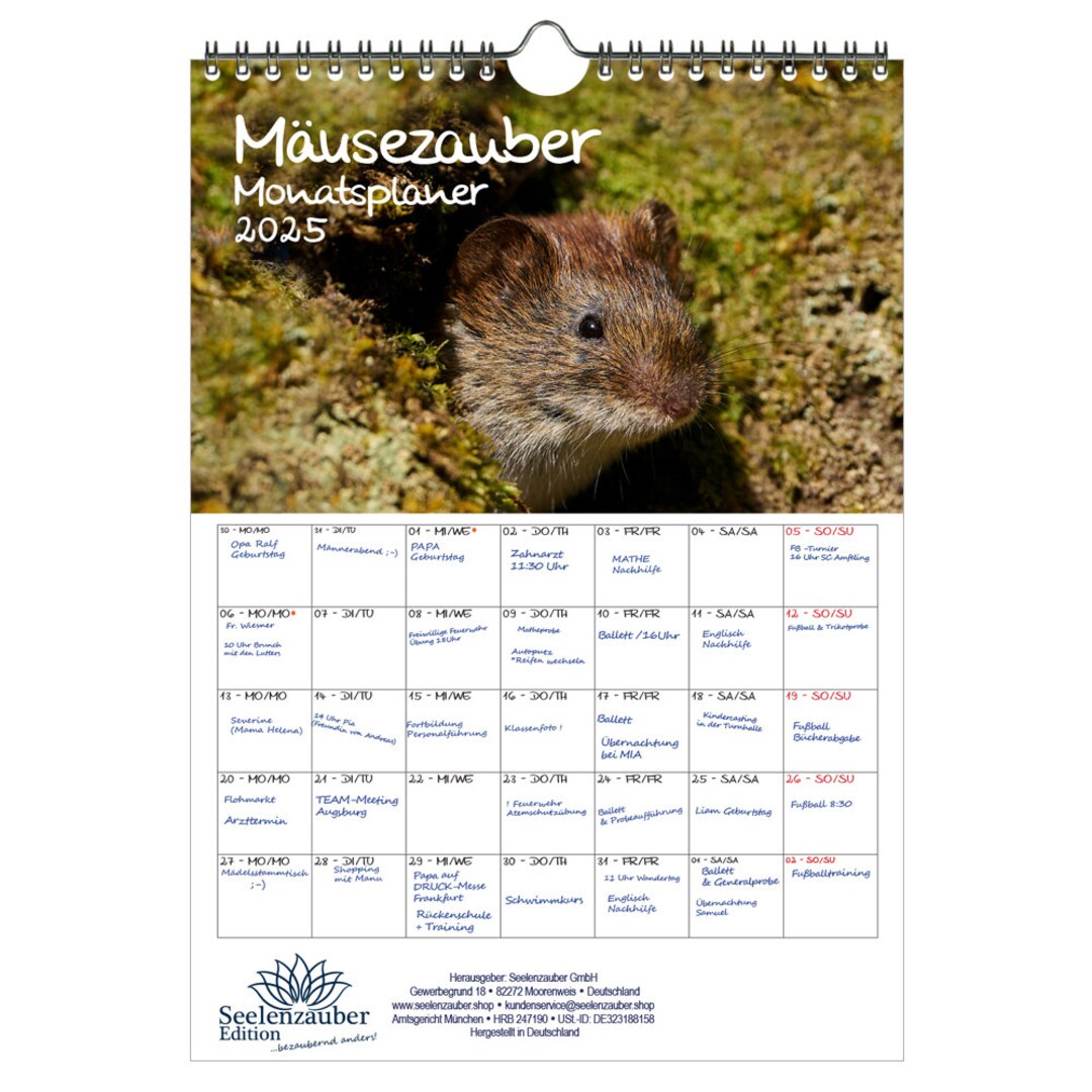 Mouse Magic Planner DIN A4 Calendar for 2025 Mice Soul Magic - Etsy UK