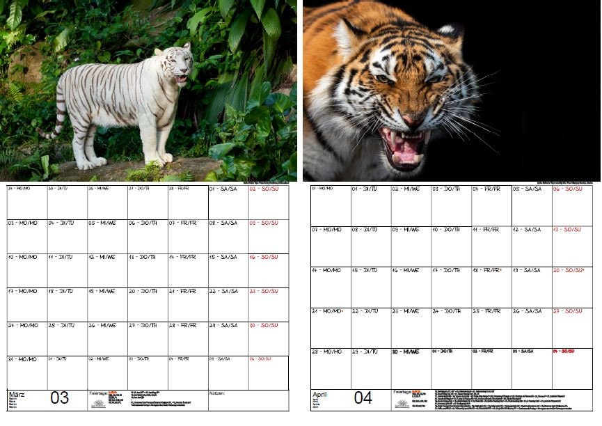 Tiger Magic Planner DIN A3 Calendar for 2025 Tiger Soul Magic - Etsy UK