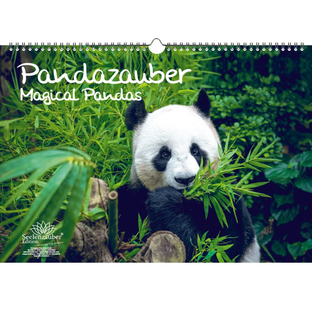 Panda Magic DIN A3 Calendar Perpetual Calendar Panda Soul Spell - Etsy
