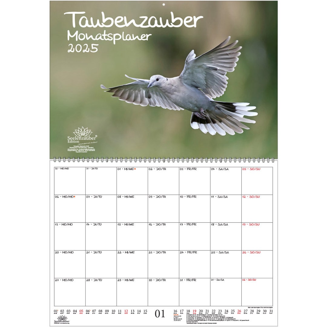 Dove Magic Planner DIN A2 Calendar for 2025 Doves Soul Magic - Etsy UK