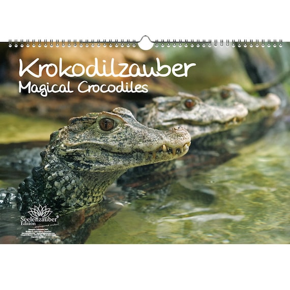 Crocodile Spell DIN A3 Calendar Perpetual Calendar - Etsy